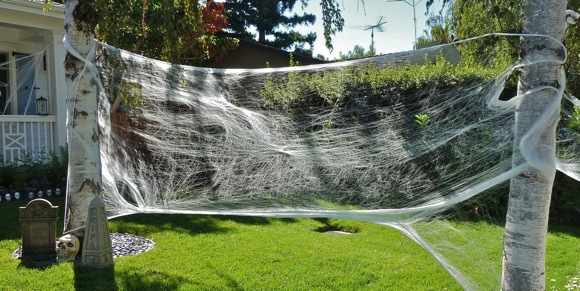 Spotted: Here's to spider webs - real and fake! - InMenlo