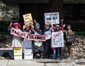 Group gathers to protest the removal of Redwood trees in Menlo Park ...