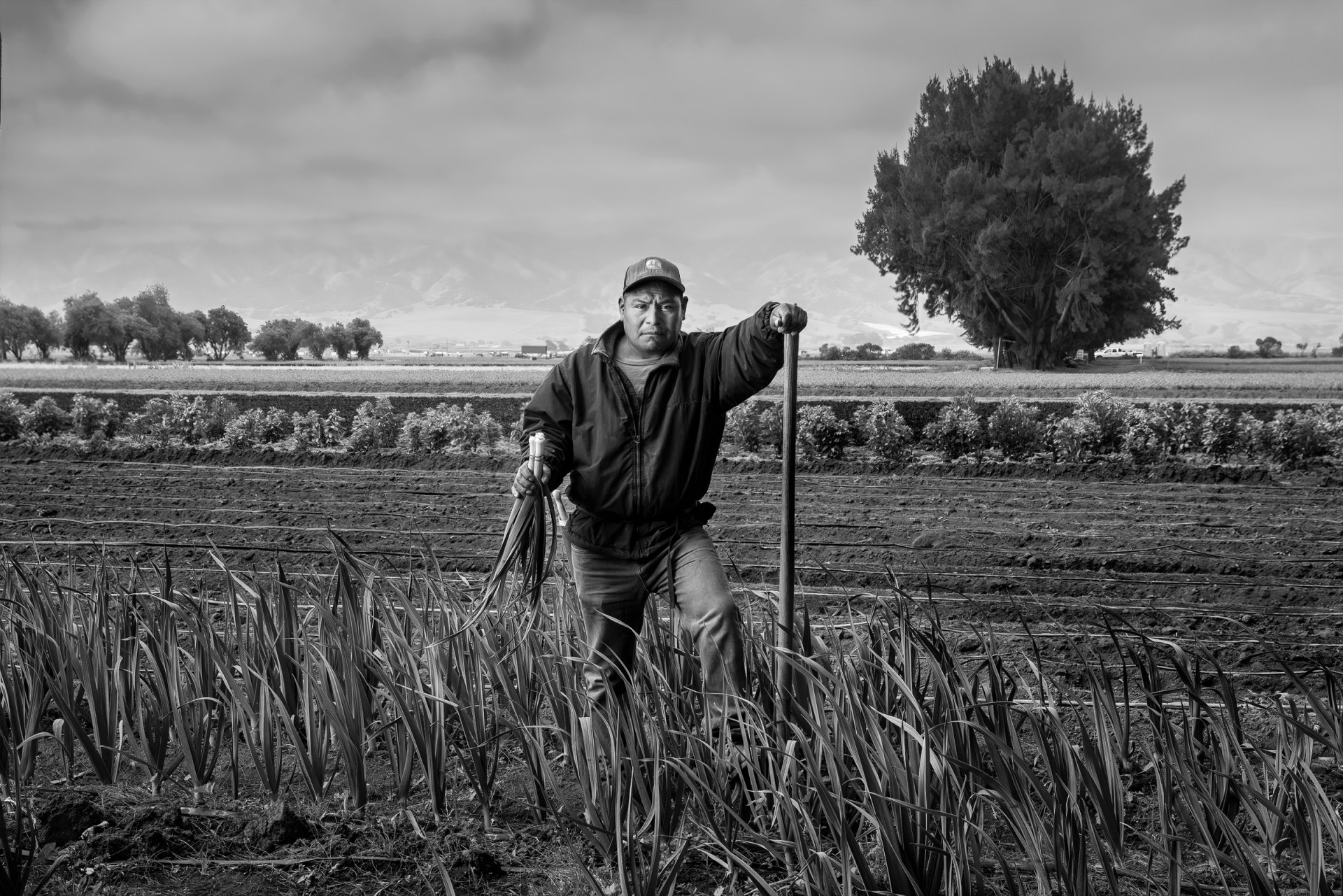 Essential Farmers and Farm Workers: An exhibit of photographs of the ...