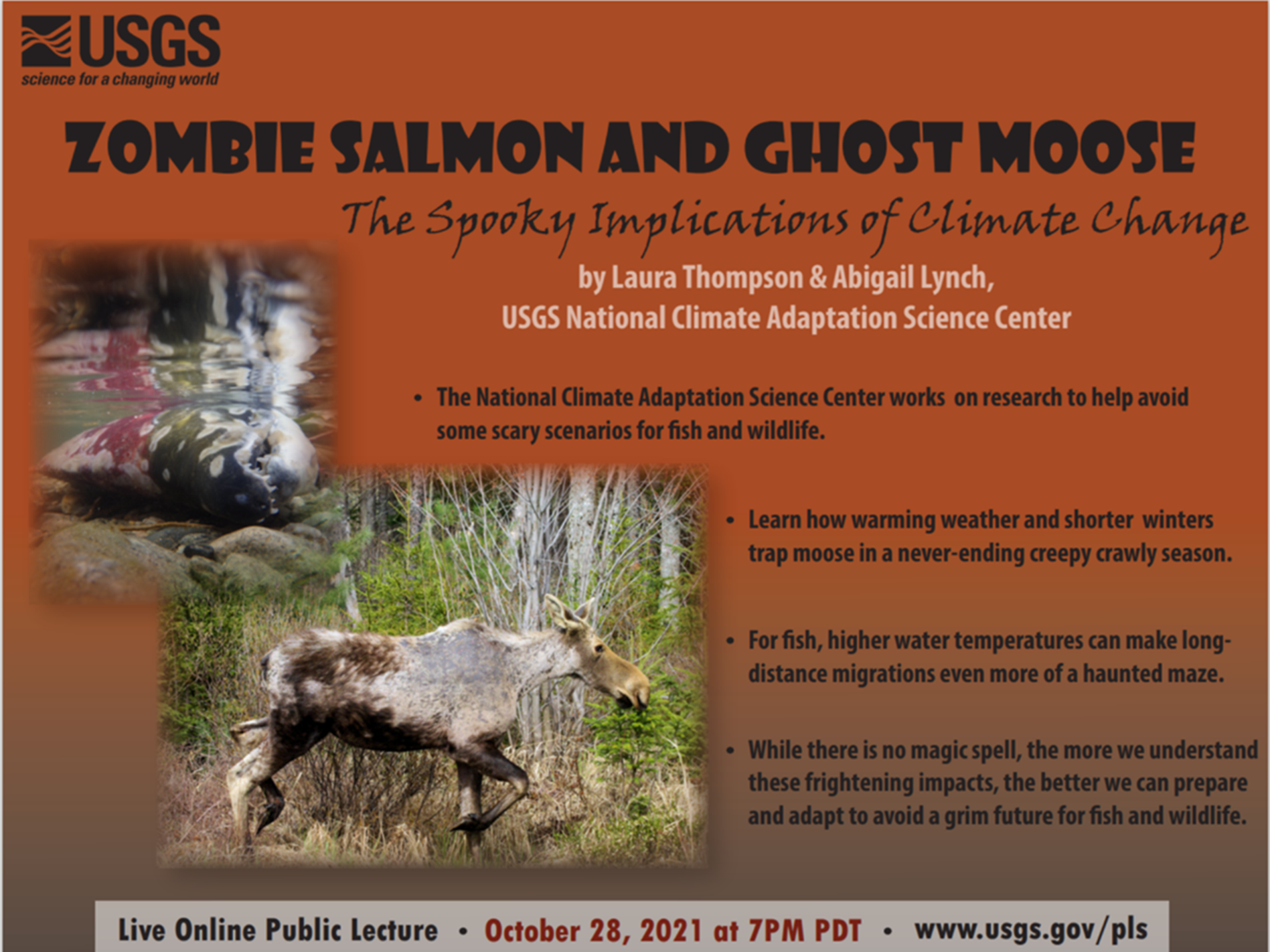 USGS virtual lecture looks at zombie salmon and ghost moose on October ...
