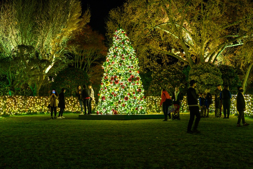 Filoli at night is a dazzling delight during the holidays - InMenlo