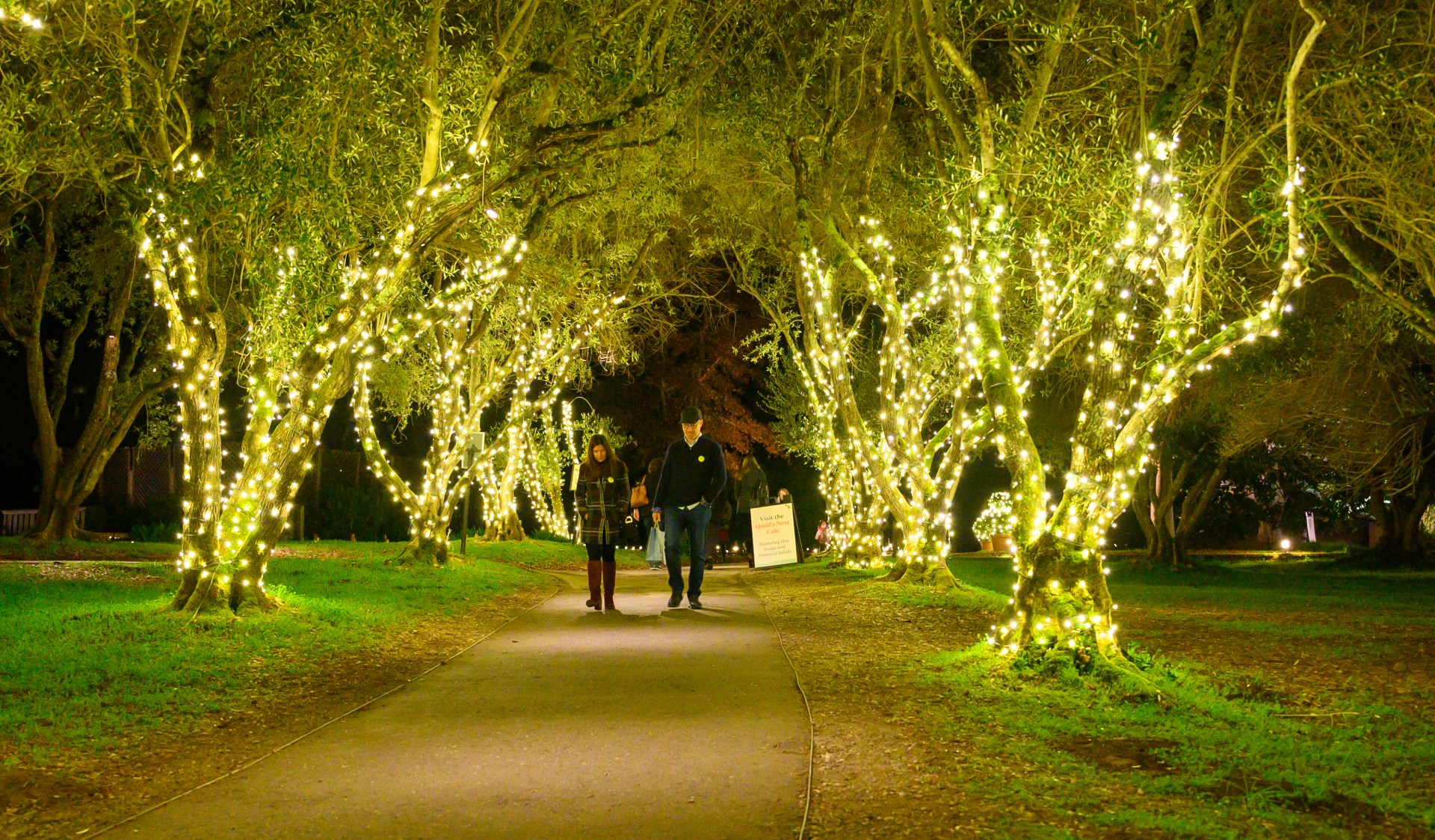 Filoli at night is a dazzling delight during the holidays - InMenlo