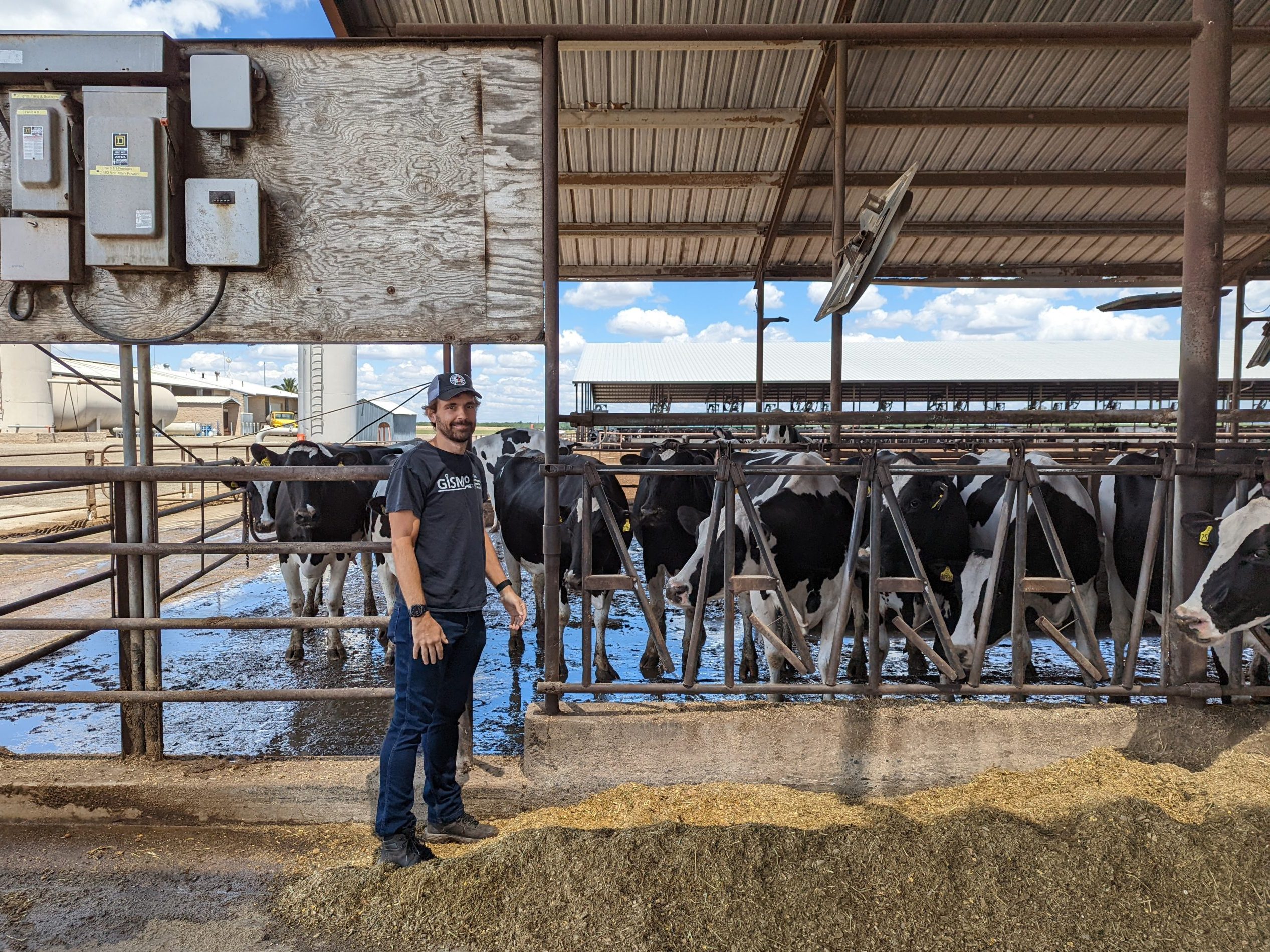 A day in the life of an electricity and cool cow engineer - InMenlo