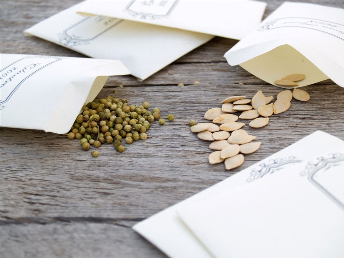 Swap seeds at Menlo Park Library patio on March 28 - InMenlo