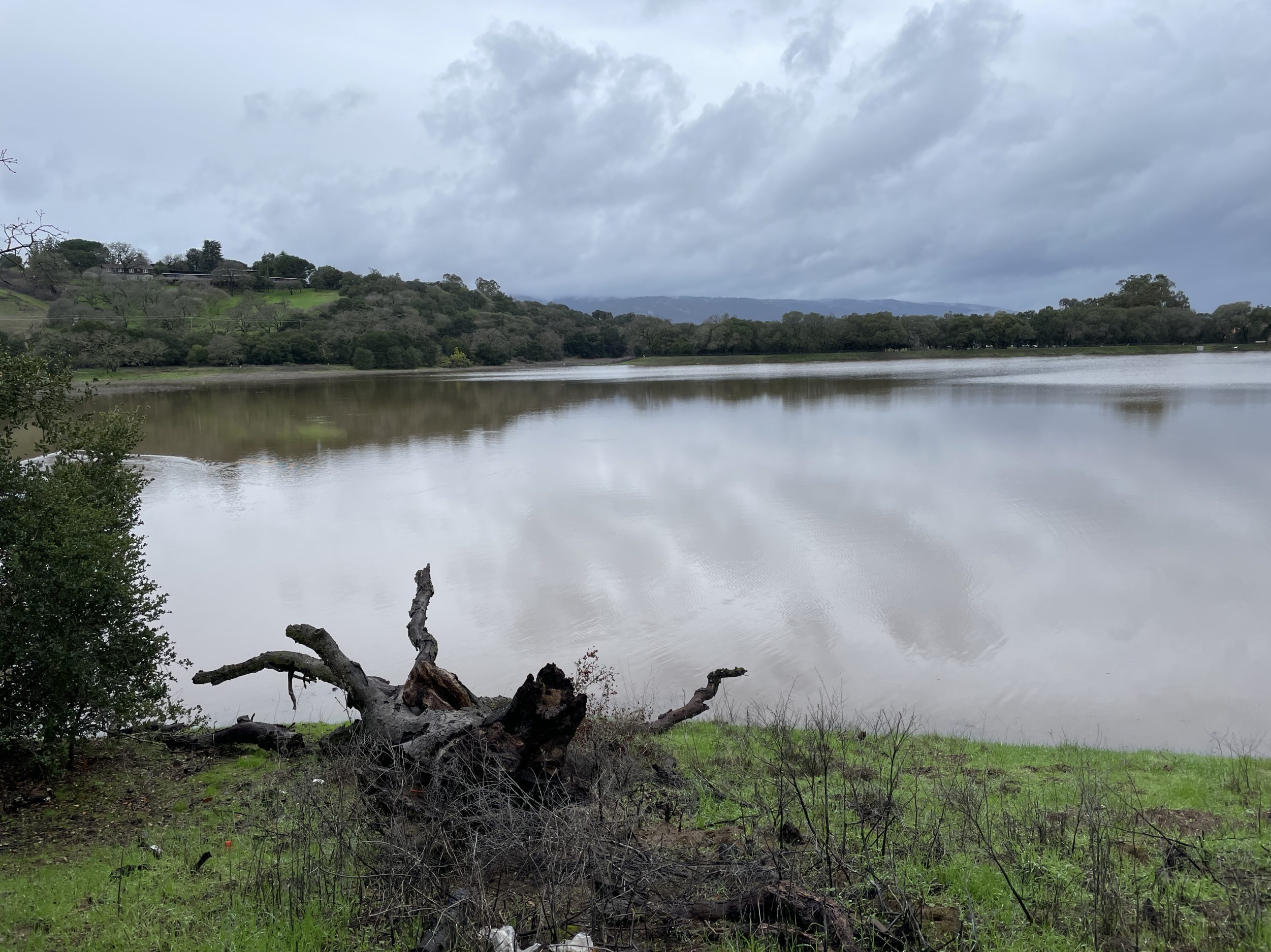 Rain brings the return of Lake Lagunita - InMenlo