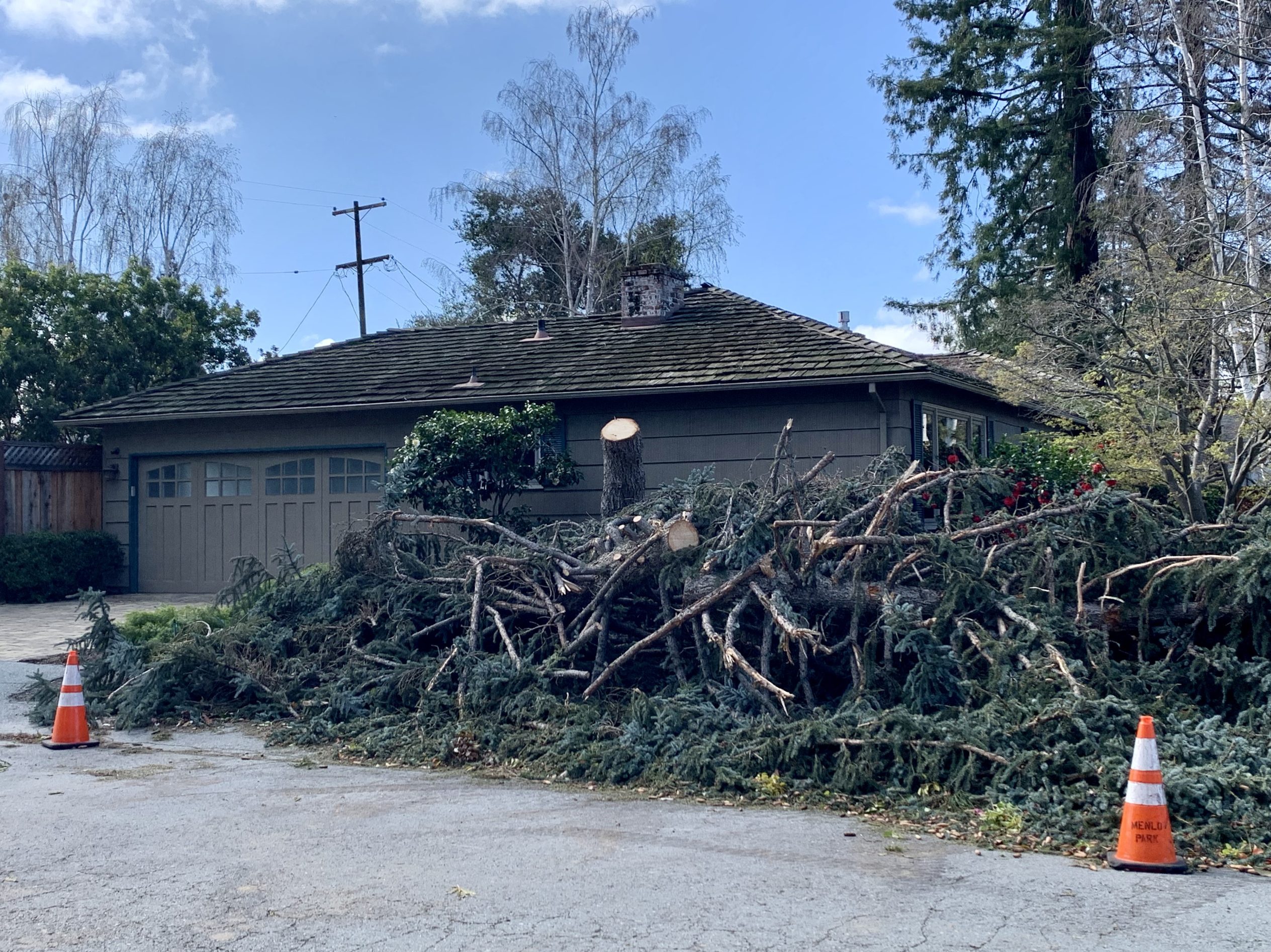 Many felled trees due to yesterday's wind storm — power outages remain ...