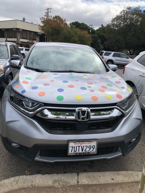 Spotted: Car with spots in Menlo Park - InMenlo