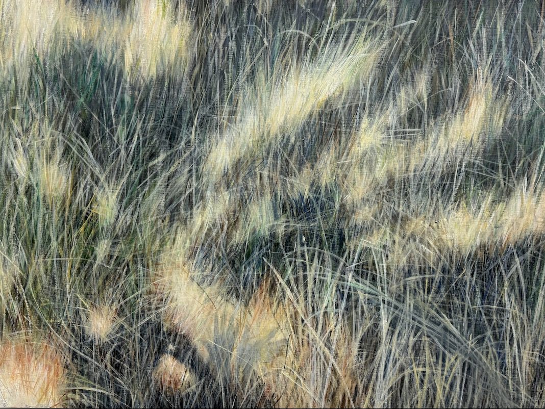 Tangled Lines and Shifting Shadows is featured exhibit at The Main ...