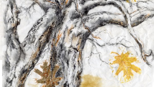 Works by artist Patricia Larenas on display at Atherton Town Hall - InMenlo