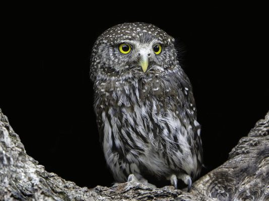 Visit local venues at Silicon Valley Open Studios this weekend - InMenlo