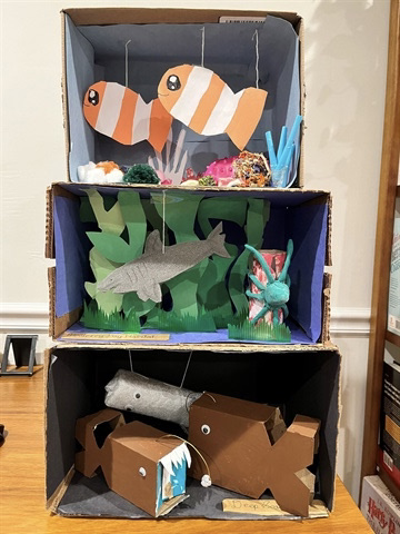 Menlo Park student wins the 2024 RethinkWaste Trash to Art contest ...