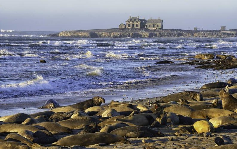 Senator Josh Becker announces winners of the 2025 Peninsula Proud ...