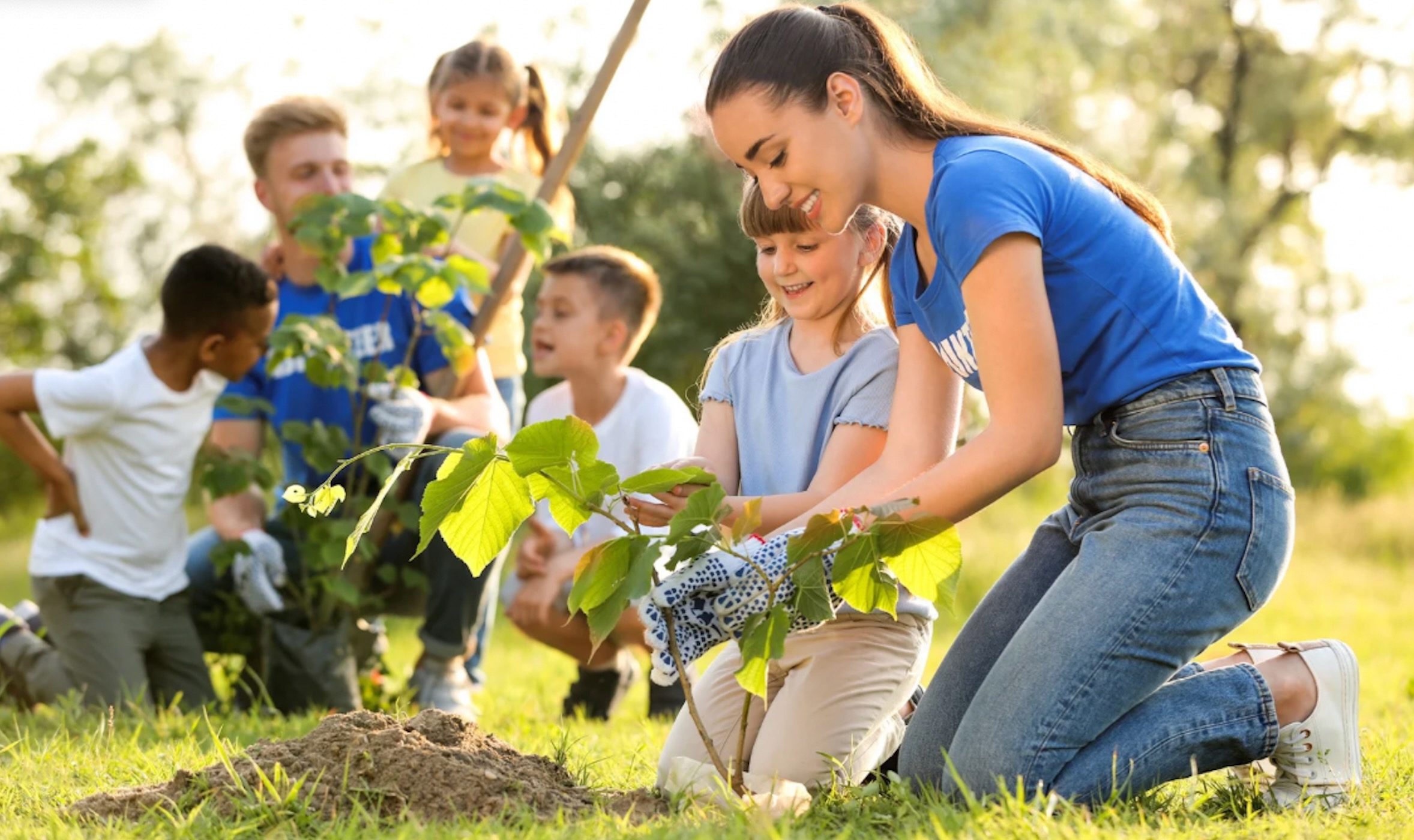 Build Up San Mateo County partners with Canopy to launch climate resiliency effort with tree ...
