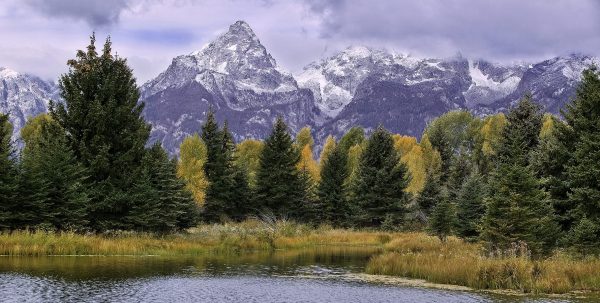 InMenlo. News for Menlo Park, Atherton, Portola Valley, and Woodside