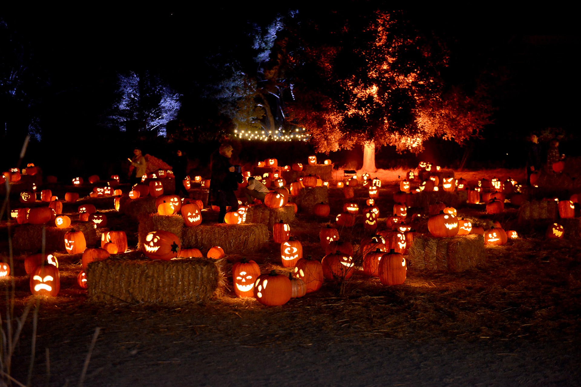 Nightfall returns to Filoli: Enjoy a spooky adventure from October 3 to ...